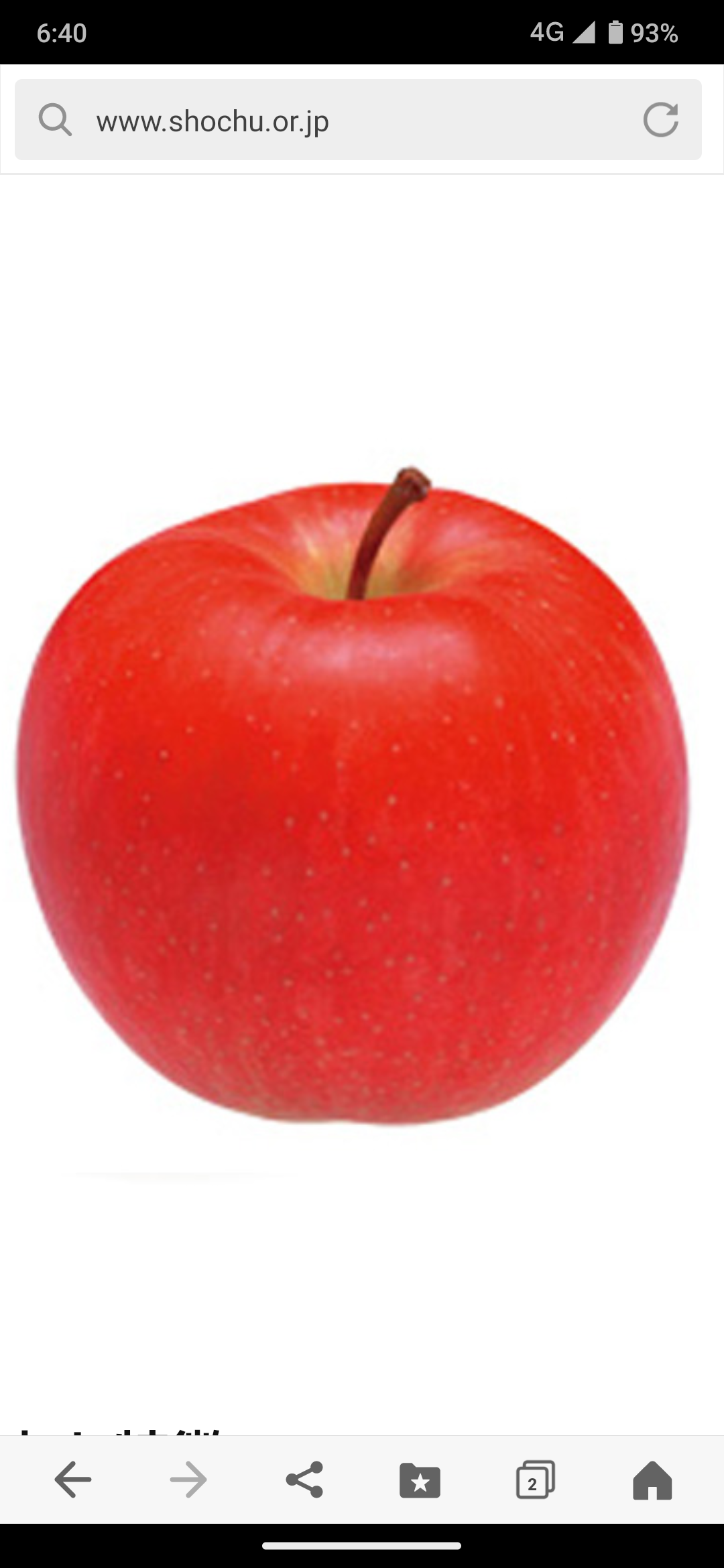 ☆朝霞 青葉台公園☆中上級 シングルス2時間 埼玉県 テニス オフネット 2932301